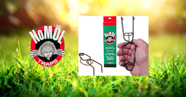 Steps for Setting NoMOL Traps - NoMol.com - No Mol Mole Traps